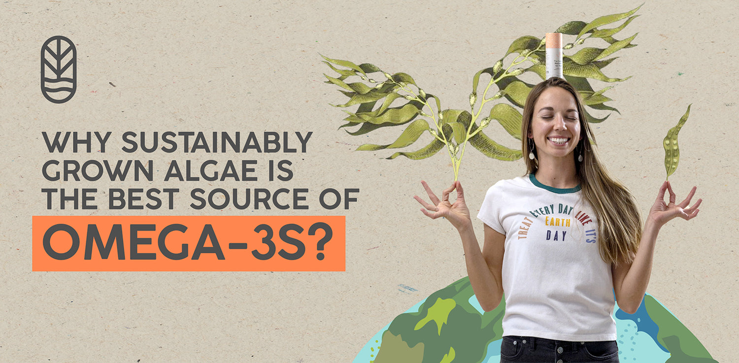 Why Sustainably Grown Algae is the Best Source of Omega-3s – Terraseed